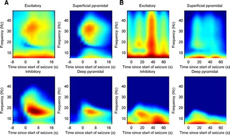 A Time Frequency Responses Of Each Cell Type In The Canonical Download Scientific Diagram