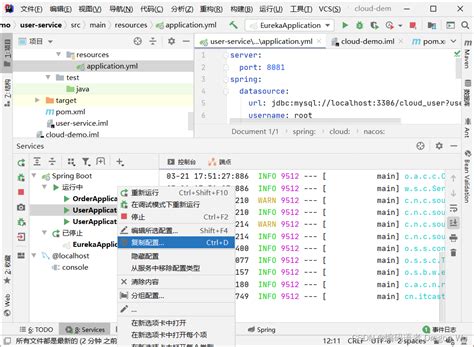 Springcloud 直接复制已运行的服务并运行springcloud复制配置 Csdn博客