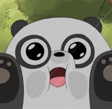 Panda Wiki We Bare Bears Amino