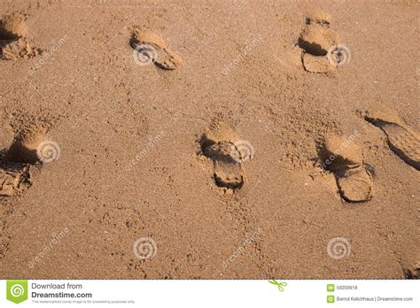 Pegadas Humanas Na Areia Na Praia Foto De Stock Imagem De Relaxe