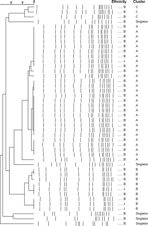 Cluster Analysis Of Smai Macrorestriction Patterns Of Mrsa Isolates
