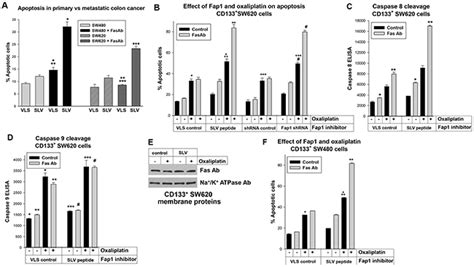 Inhibition Of Fas Associated Phosphatase 1 Fap1 Facilitates Apoptosis