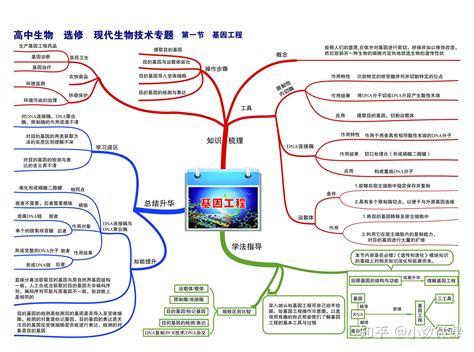最全高中生物思维导图（45张高清大图）扫清高中三年知识点！知识串联｜高效复习｜考试提分｜可下载打印 知乎