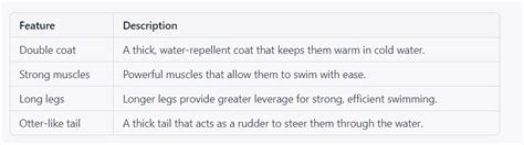 Why Do Labs Have Webbed Feet 3 Main Benefits
