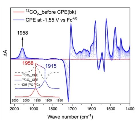 Ftir‐sec Differential Spectra Of Urfe In Co2 Saturated Deuterated