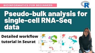 Pseudo Bulk Analysis For Single Cell RNA Seq Data Det Doovi