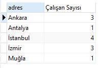 Sql Count Max Min Sum Avg Fonksiyonlarının Group By İle Kullanımı
