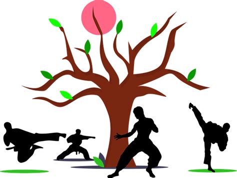 Karatê Taekwondo Prática Gráfico Vetorial Grátis No Pixabay