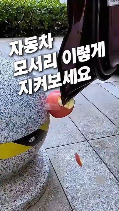 자동차 문콕 방지 하는 법 차량꿀템 차량용품 Youtube