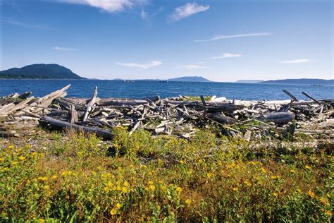 Lummi Island Washington Wallpapers 13 Images Wallpapercat