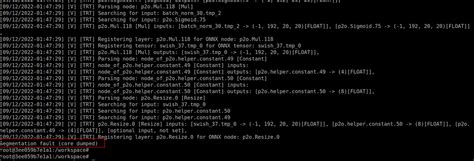 Segfault Is Always Reported After Parsing ``resize`` Node When Convert