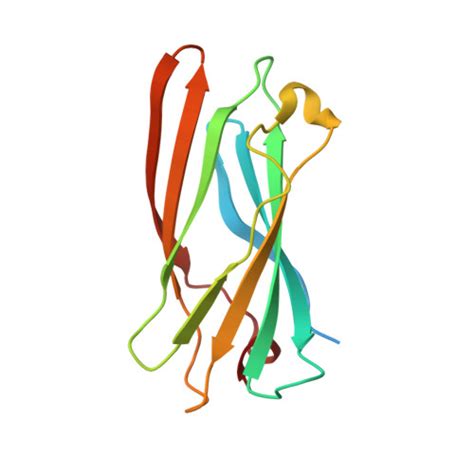 Rcsb Pdb 1gyu Gamma Adaptin Appendage Domain From Clathrin Adaptor Ap1