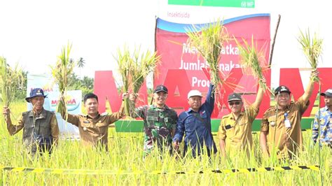 Portal Informasi Provinsi Kalimantan Barat Berani Aktual Akurat