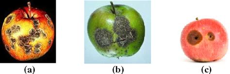 Figure 1 From Using K Means Cluster And Fuzzy C Means For Defect