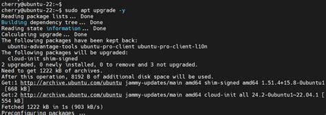 how to upgrade from ubuntu 22 04 to ubuntu 24 04 lts cherry servers