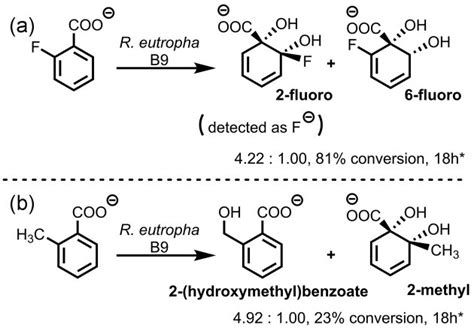 Regioselectivity And Metabolites From Oxidation Of 2 Substituted Download Scientific Diagram