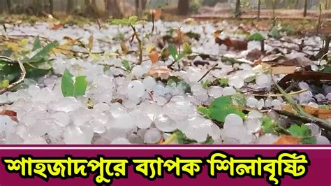 শাহজাদপুরে ঝড়ের সাথে শিলাবৃষ্টি ফল ও ফসলের ব্যাপক ক্ষয়ক্ষতি
