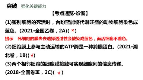 2024届高三生物一轮复习课件21 细胞膜的结构和功能共47张ppt 21世纪教育网