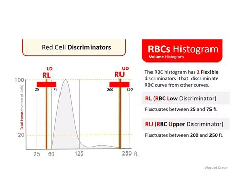 Rbc Histogram Pdf
