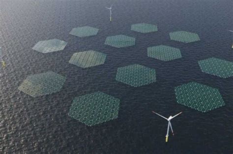 Começa A Construção Da Maior Usina Solar Flutuante Offshore Do Mundo