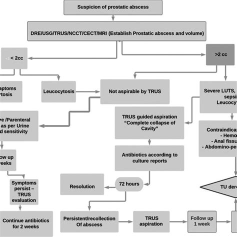 Algorithm For Management Of Prostatic Abscess Download Scientific Diagram