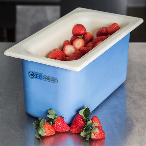 Cm1102c1402 Coldmaster® Coolcheck® Third Size Food Pan 4 Qt White