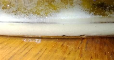 Thc Isolate Cold Crashing Out Of Crude With Butane Album On Imgur