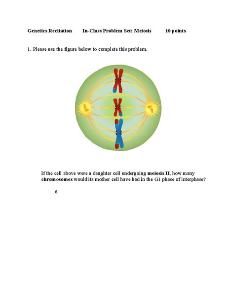 Inclass Meiosis Set Lecture Notes Genetics Recitation In Class Problem Set Meiosis 10