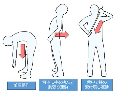 棒体操のリハビリ！高齢者への効果やイラストを用いて解説！ 白衣のドカタ