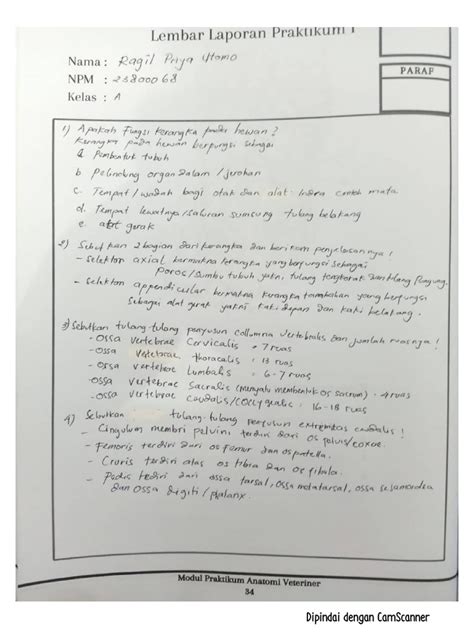 Tugas Laporan Praktikum 1 Pdf