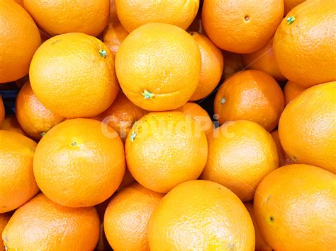 오렌지 과일 누끼 배경 패턴 사진이미지일러스트캘리그라피 Archijem작가