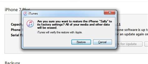 Simple Guides To Factory Reset IPhone Without Passcode