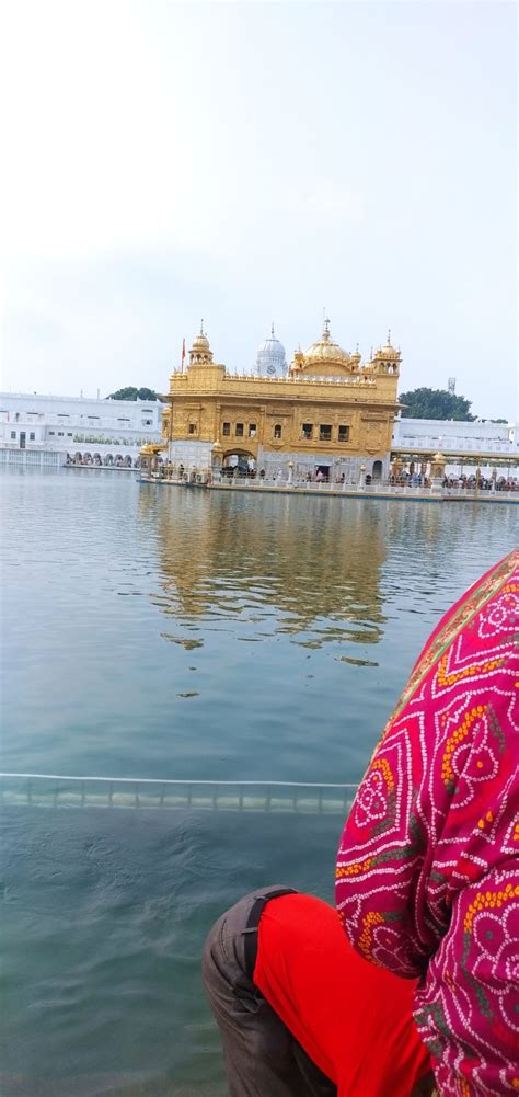 gayatri gayatri posted on linkedin