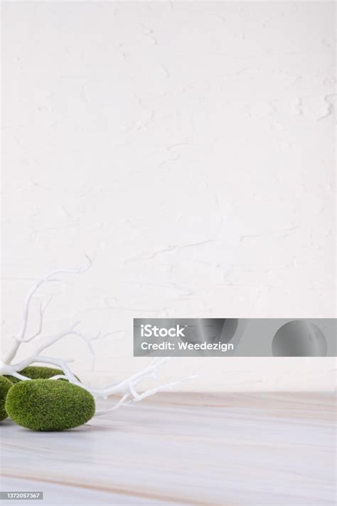 대리석 테이블과 흰색 콘크리트 배경에 바위 이끼와 흰색 가지 나무 0명에 대한 스톡 사진 및 기타 이미지 0명 공란 광고 Istock
