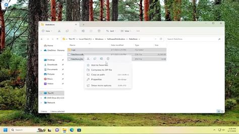 Borrar Historial De Actualizaciones De Windows En Windows 11 Tutorial