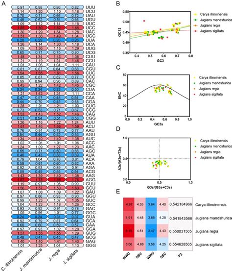 Figure 1 From Comprehensive Identification And Analyses Of The Grf Gene