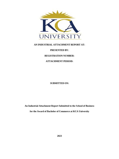 Sample Attachment Report Pdf