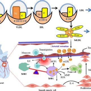 An Example RLP Tree And Its Encoding Download Scientific Diagram