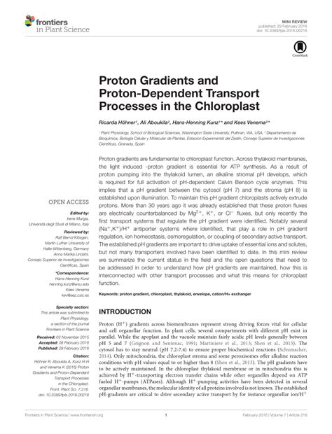 Pdf Proton Gradients And Proton Dependent Transport Processes In The