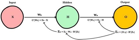 The Mathematics Of Forward And Back Propagation