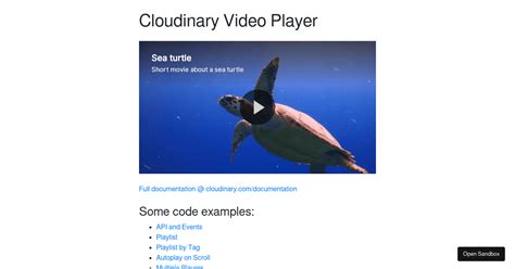 Cloudinary Video Player Forked Codesandbox