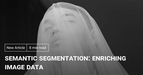 Semantic Segmentation Enriching Image Data In 2025 Label Your Data