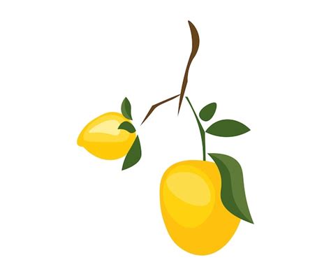 Premium Vector Lemons
