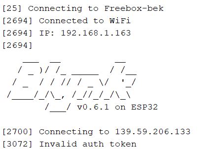 Invalid Auth Token BLYNK 2 First Setup Need Help With My Project