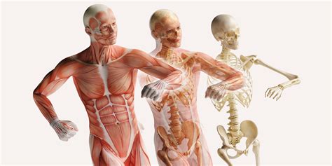Physiomotionlab 動作實驗室 Physiomotion Lab 實驗室