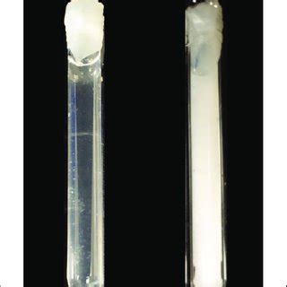 MA HPC Left Before And Right After Undergoing Temperature Induced Download Scientific