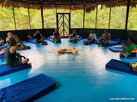 Ayahuasca Retreat Peru 2025 Tariq Emerson