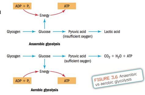 Pin On Energy Systems