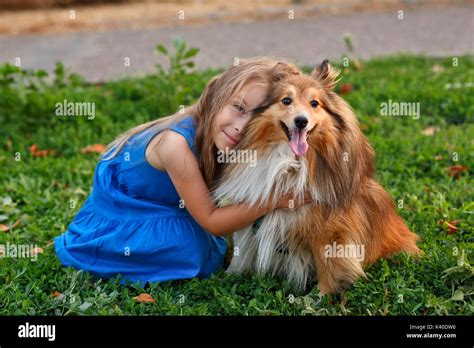 Süße Kleine Mädchen Mit Einem Hund Sheltie Rasse Beste Freunde Für