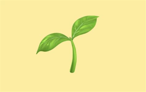 Building A New Vector Based Storage Model Questdb